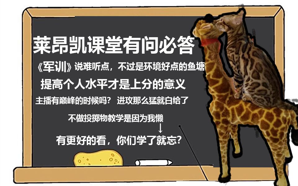 莱昂凯课堂有问必答:提高个人水平才是上分的意义啊。