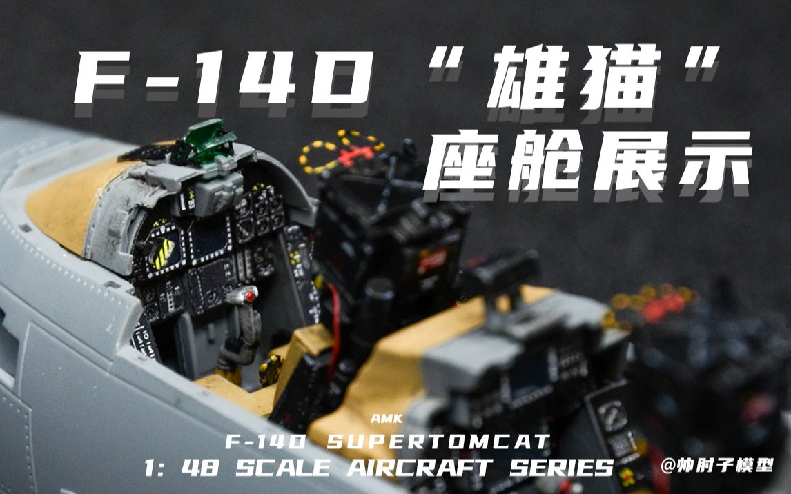 AMK F14D“雄猫”战斗机模型 座舱展示