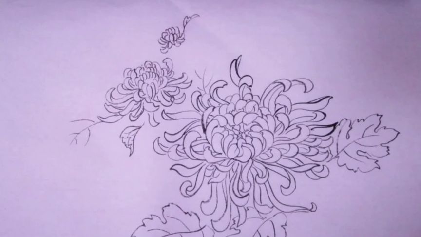 菊花图的绘画简便过程:如此剖析,就更容易题稿了!