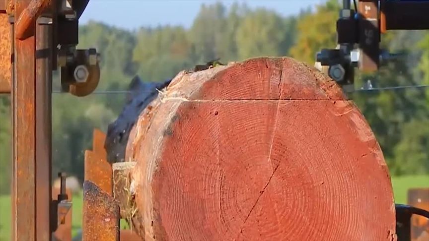 德国制造的木材切割机,切出来的木板就是平整