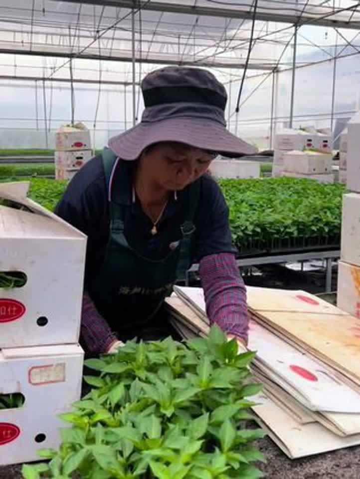 用心对待每一位客户#三农 #2024新农人计划