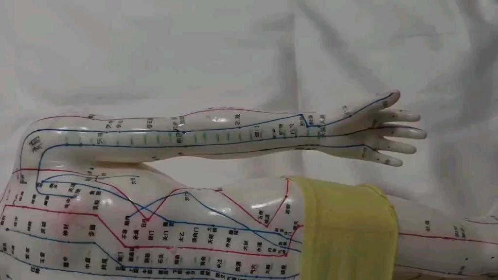 孔最穴具体位置及功效,池继唐健康管理师培训课