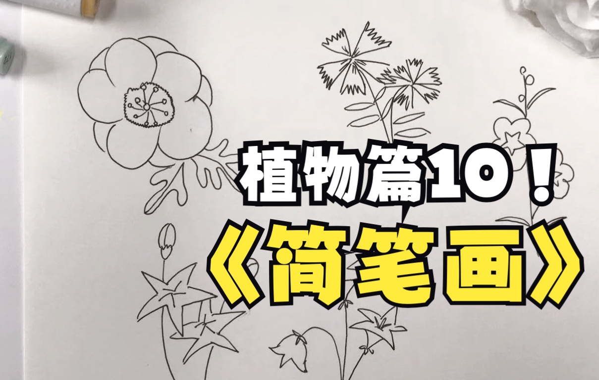 简笔画花卉素材手帐银莲花 石竹 蜀葵 桔梗