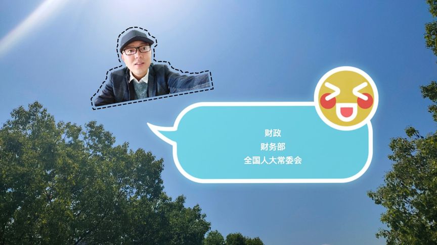 国家财政的作用,财政部为何向全国人大常委会报告工作?