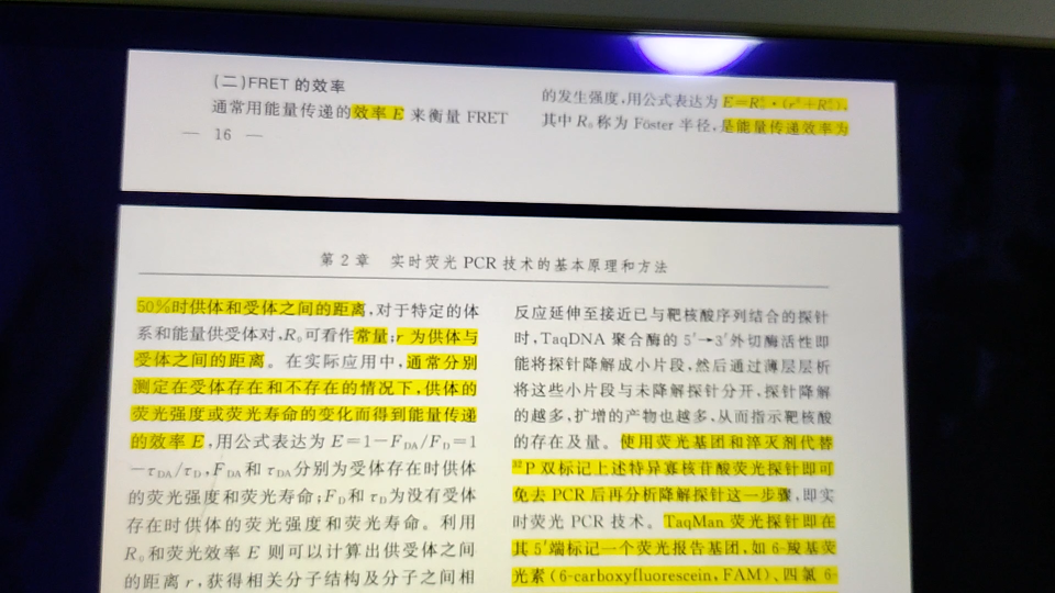 实时定量PCR中荧光共振能量转移的效率