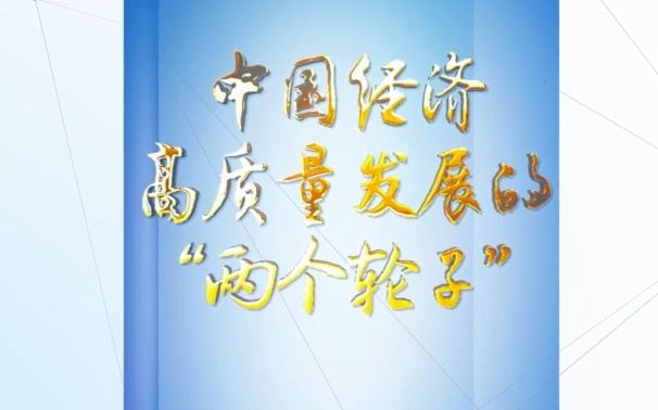 理论一点点|中国经济高质量发展的“两个轮子”