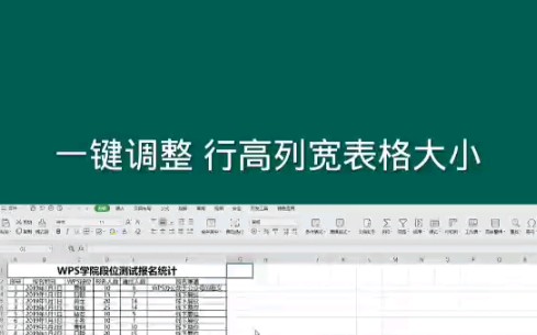 Office电子表格,一键调整,行高列宽表格大小。