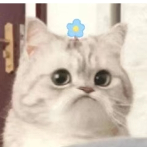 烦村启动 