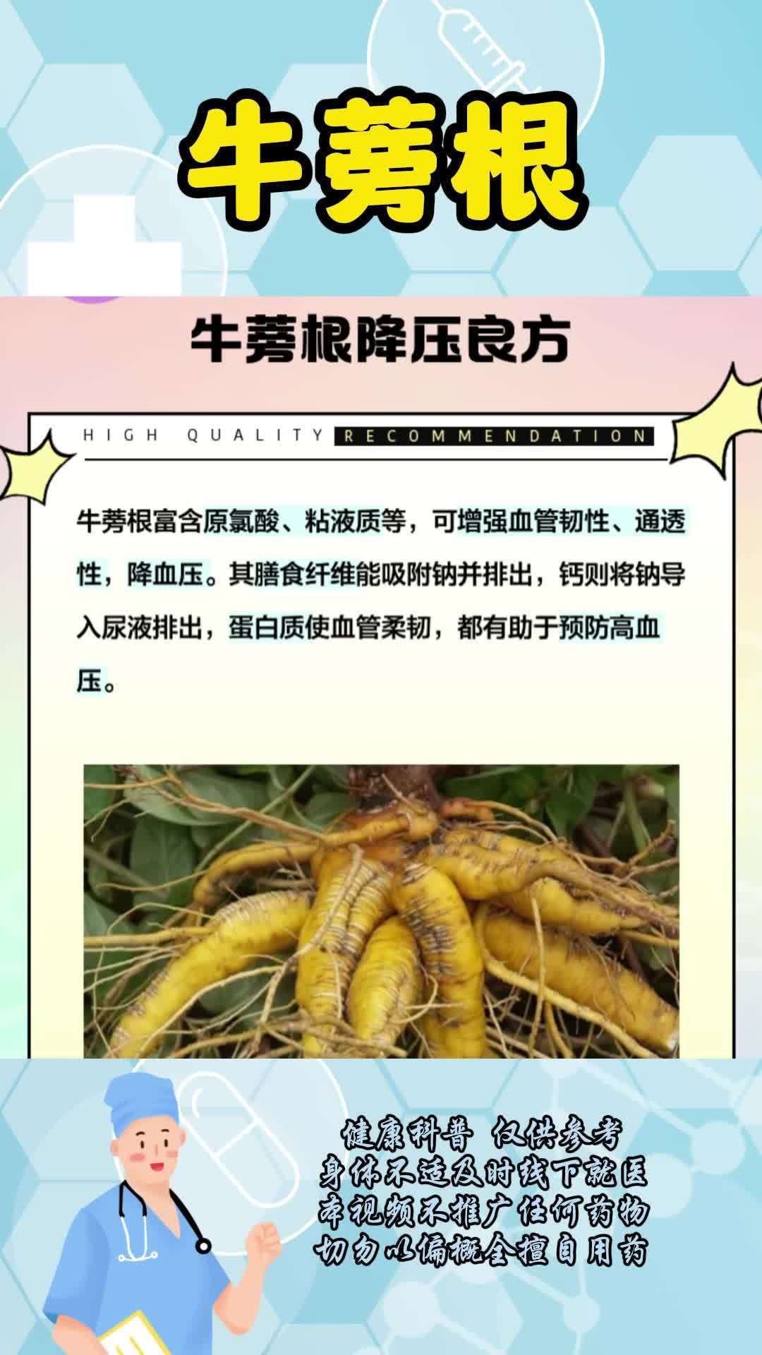 牛蒡根泡水不仅能预防高血压,还能排毒养颜抗衰老哦!