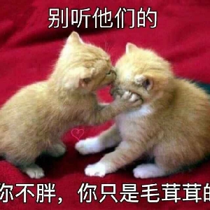 朱猛大 