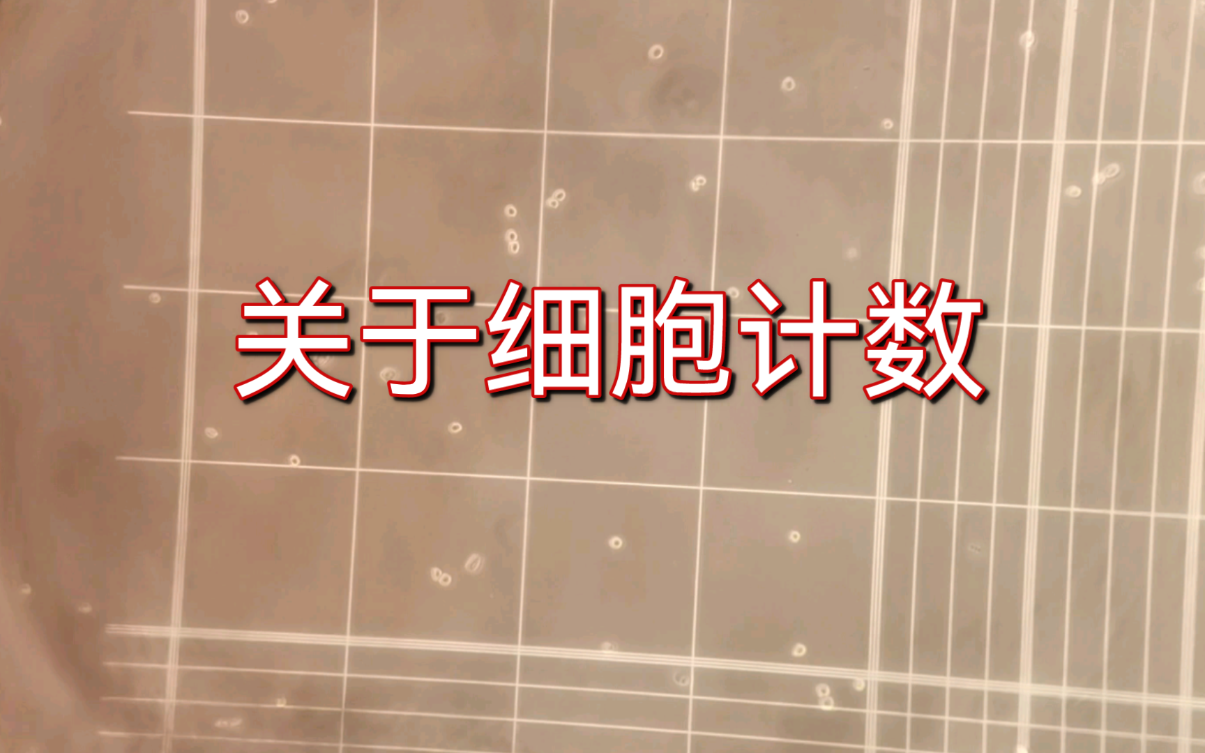 生物学小白不容错过~血球计数板进行细胞计数!