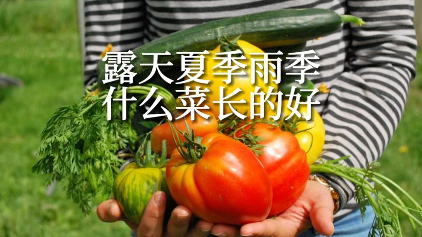 明年春天做好万全的种植计划吧#我的小菜园 #种菜小技巧