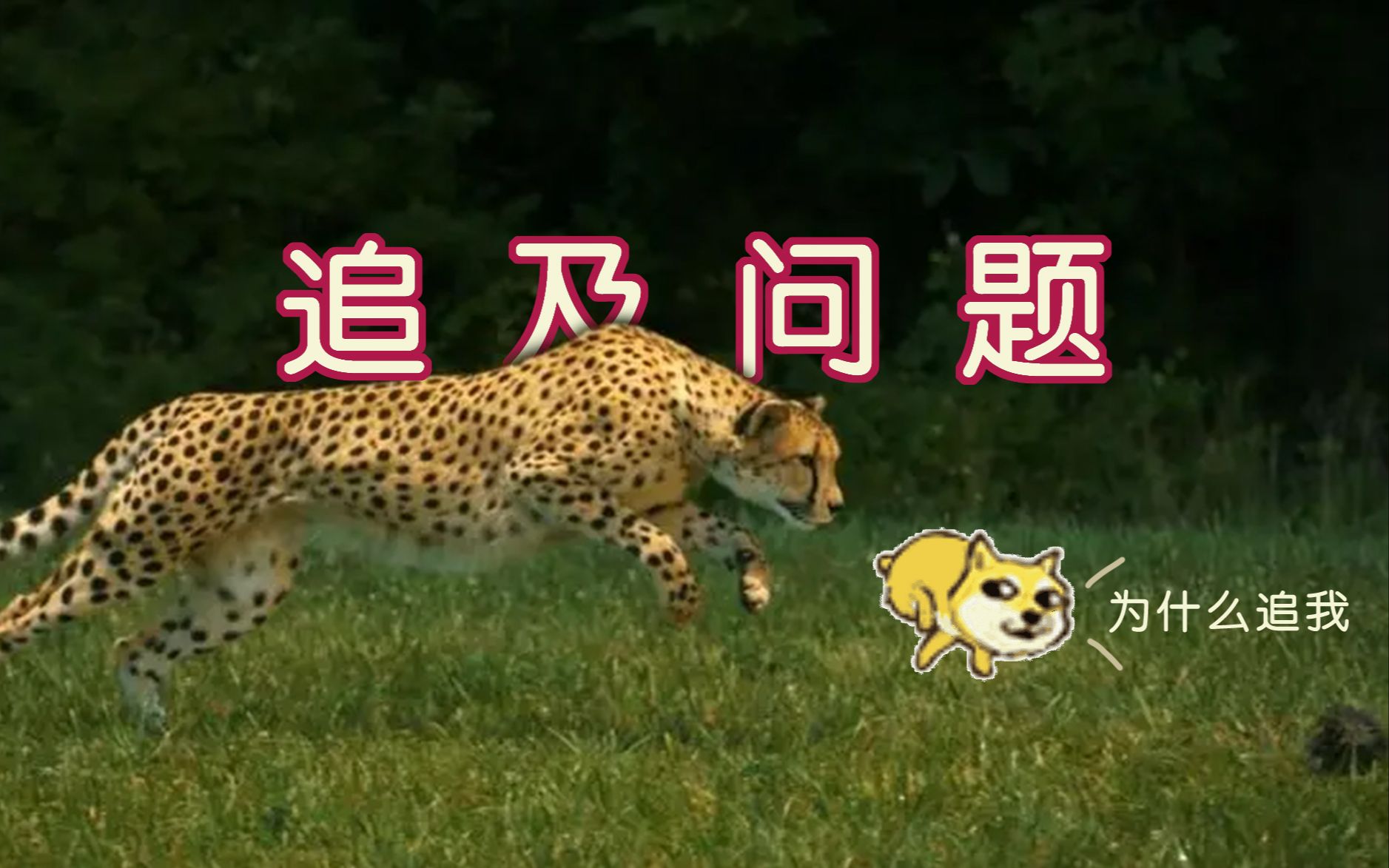 非常直观的高中物理!动画讲解追及问题
