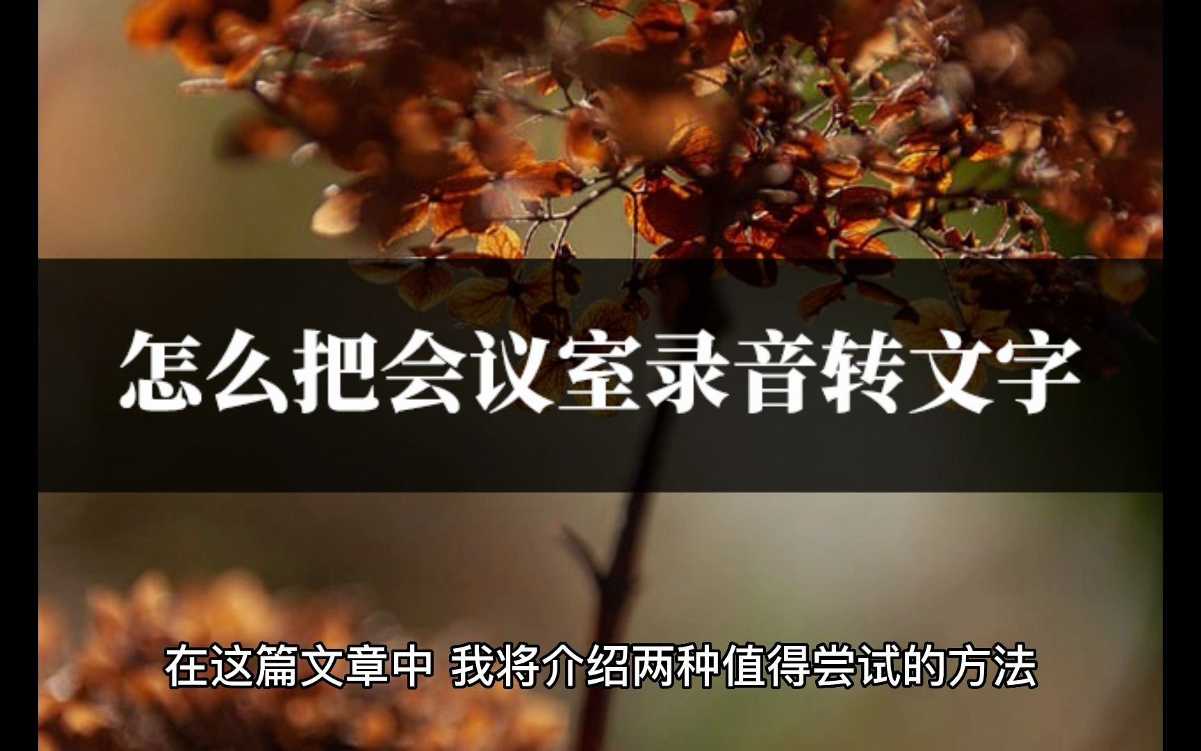 怎么把会议室录音转文字?2种值得尝试的方法