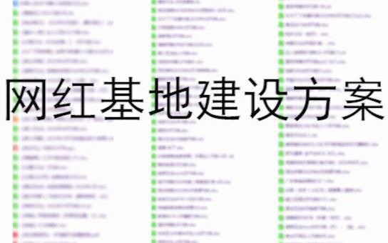 网红电商直播新媒体基地短视频园区建设规划管理方案计划书