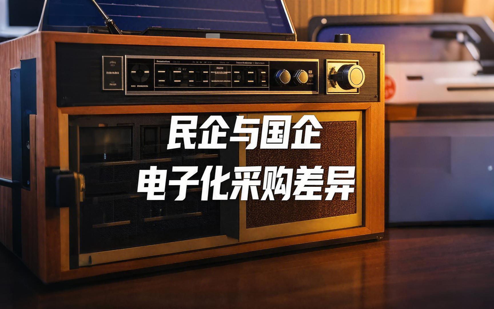 民企与国企电子化采购差异:从需求到落地的全维度对比