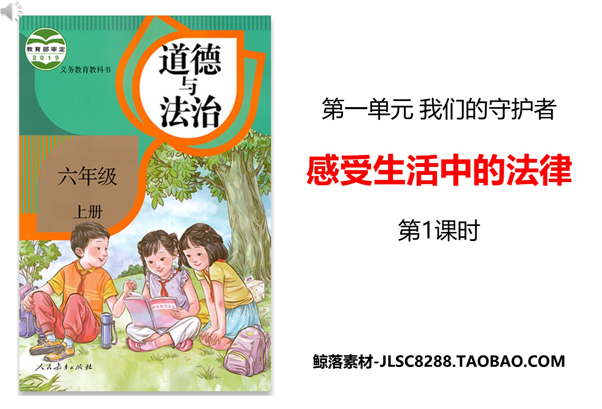 道法六年级上册《感受生活中的法律》PPT课件