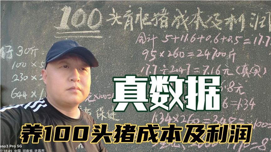 养猪创业哥!精确统计当前养100头育肥成本及利润,干货分享