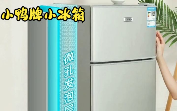 小鸭牌小冰箱家用小型双开门特价冰箱新款出租房单人迷你宿舍电冰箱!