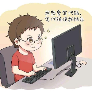 dgflash 