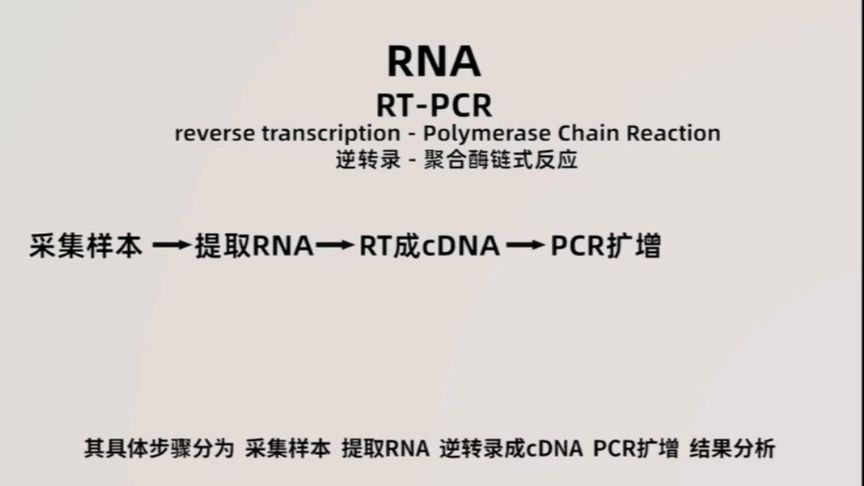 新冠病毒核酸检测原理