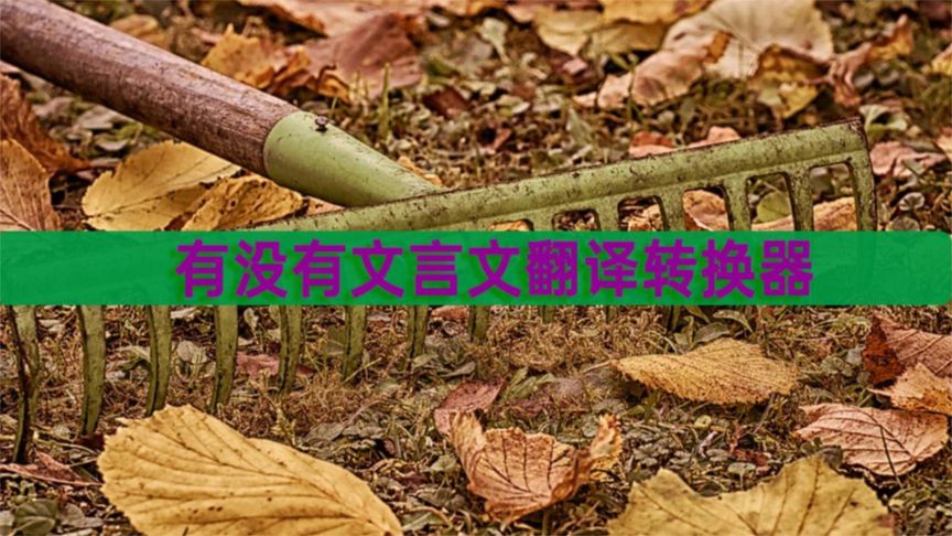 有没有文言文翻译转换器?简便方法在这
