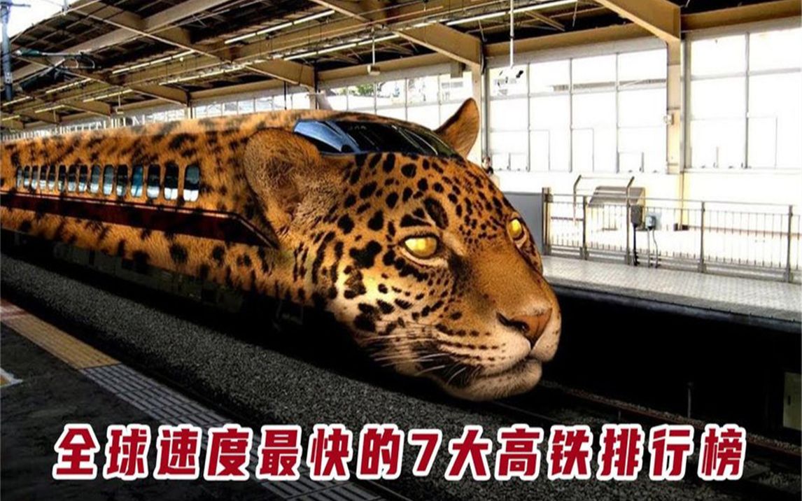 速度最快的7大高铁排行榜,看一下中国的复兴号能排第几名?