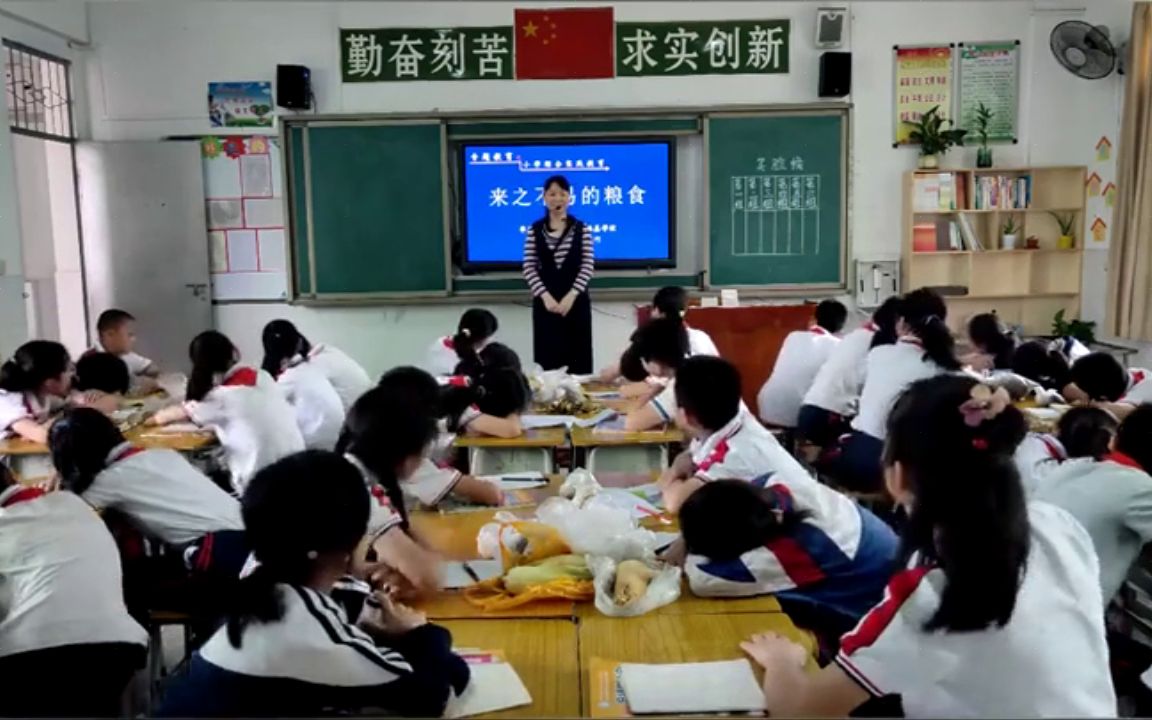 【获奖】小学主题班会《来之不易的粮食》-黄老师_优质课公开教学视频