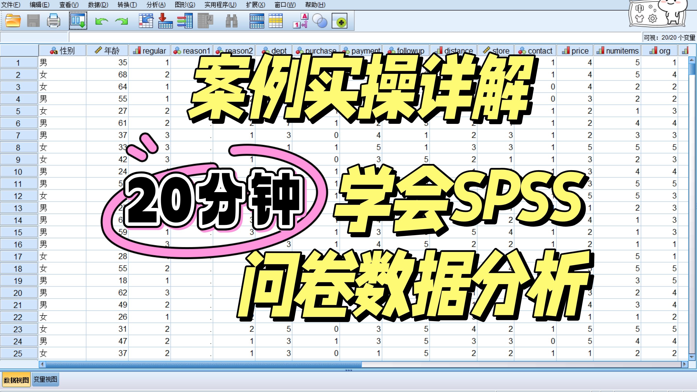 案例实操详解-零基础小白20分钟学会SPSS问卷分析