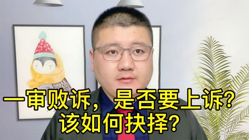 一审败诉,是否上诉?该如何抉择?