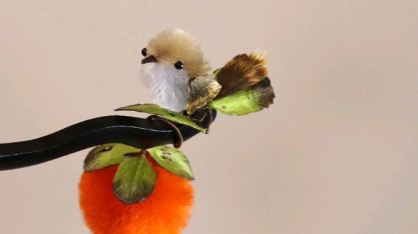 这只绒鸟一下戳到我…的心巴~冬天就是要毛茸茸呀