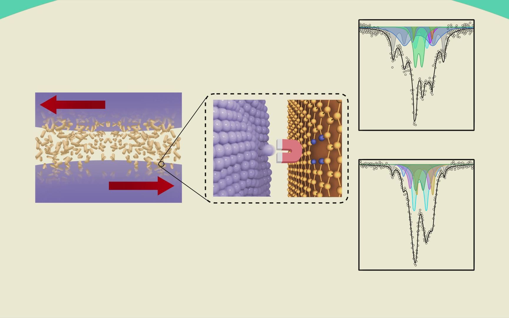 穆斯堡尔谱×单原子——精准表征铁单原子纯度