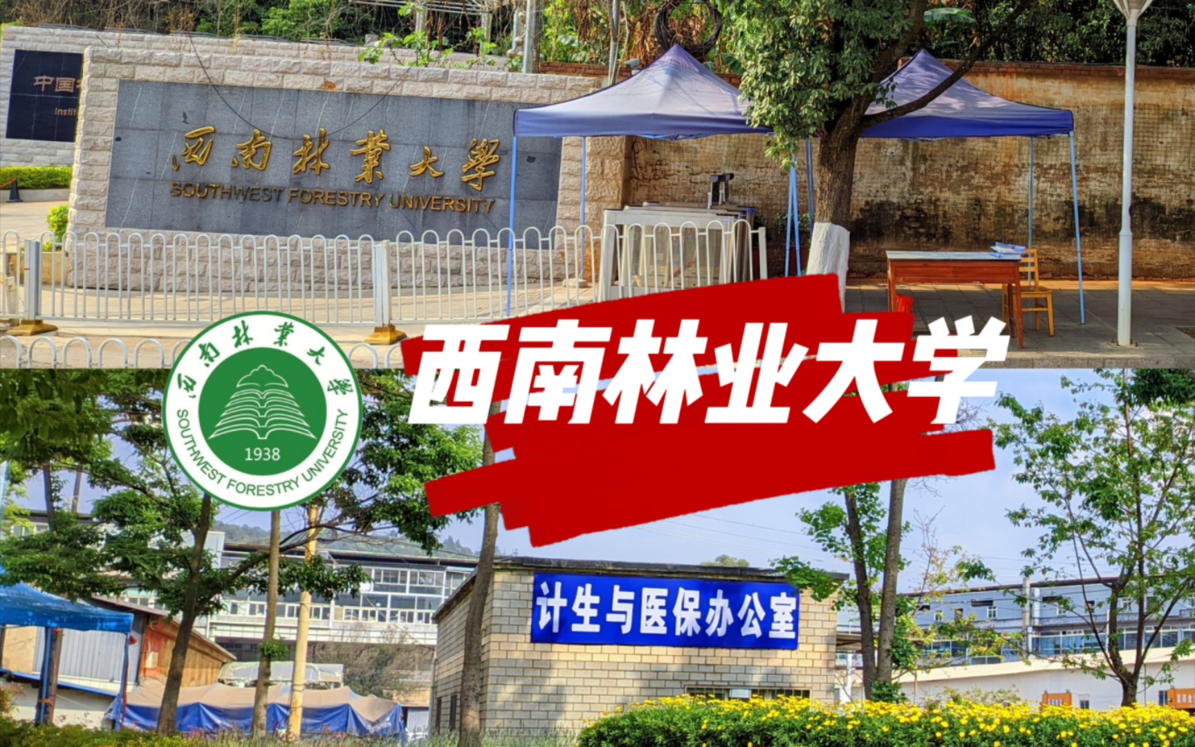 西南林业大学|五一日记|西林实录|西南爬坡大学