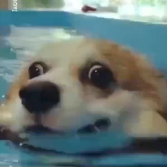 很有内涵a 