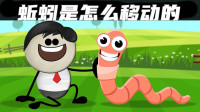 蚯蚓是怎么移动呢?看完视频难以置信