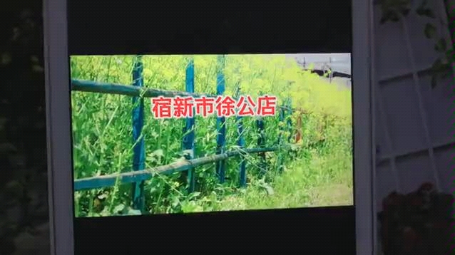 《宿新市徐公店》讲解视频
