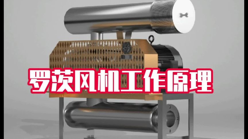 罗茨风机工作原理#源头实力厂家 罗茨鼓风机