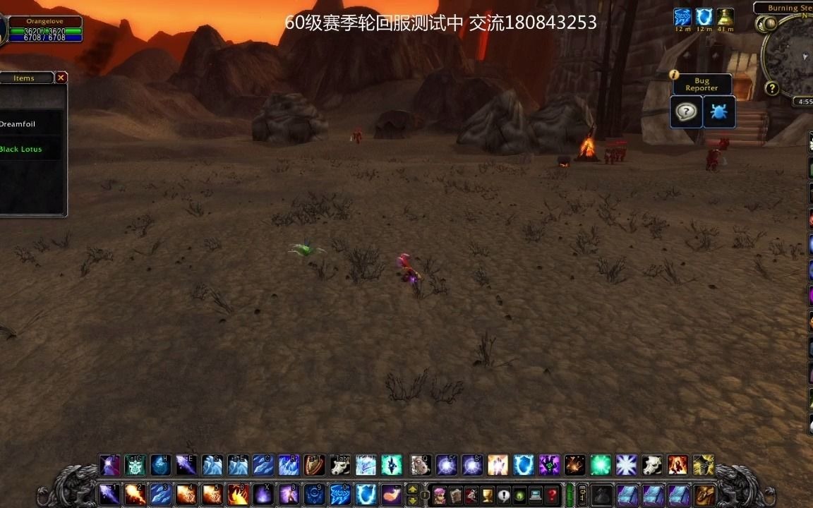 魔兽世界60级赛季轮回服梦叶草也伴生黑莲花了