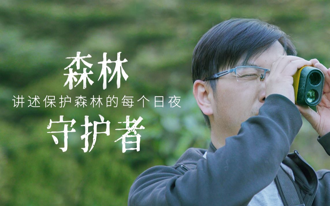 森林守护者,讲述保护森林的每个日夜