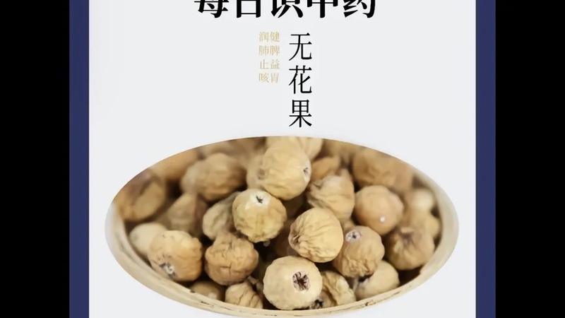 每日识中药:无花果