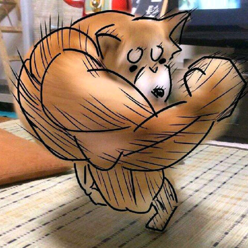 爱音乐爱健身的小黑 