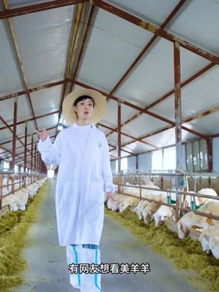 ...有限公司万只肉羊标准化规模养殖项目,建成了自治区级湖羊核心育种场