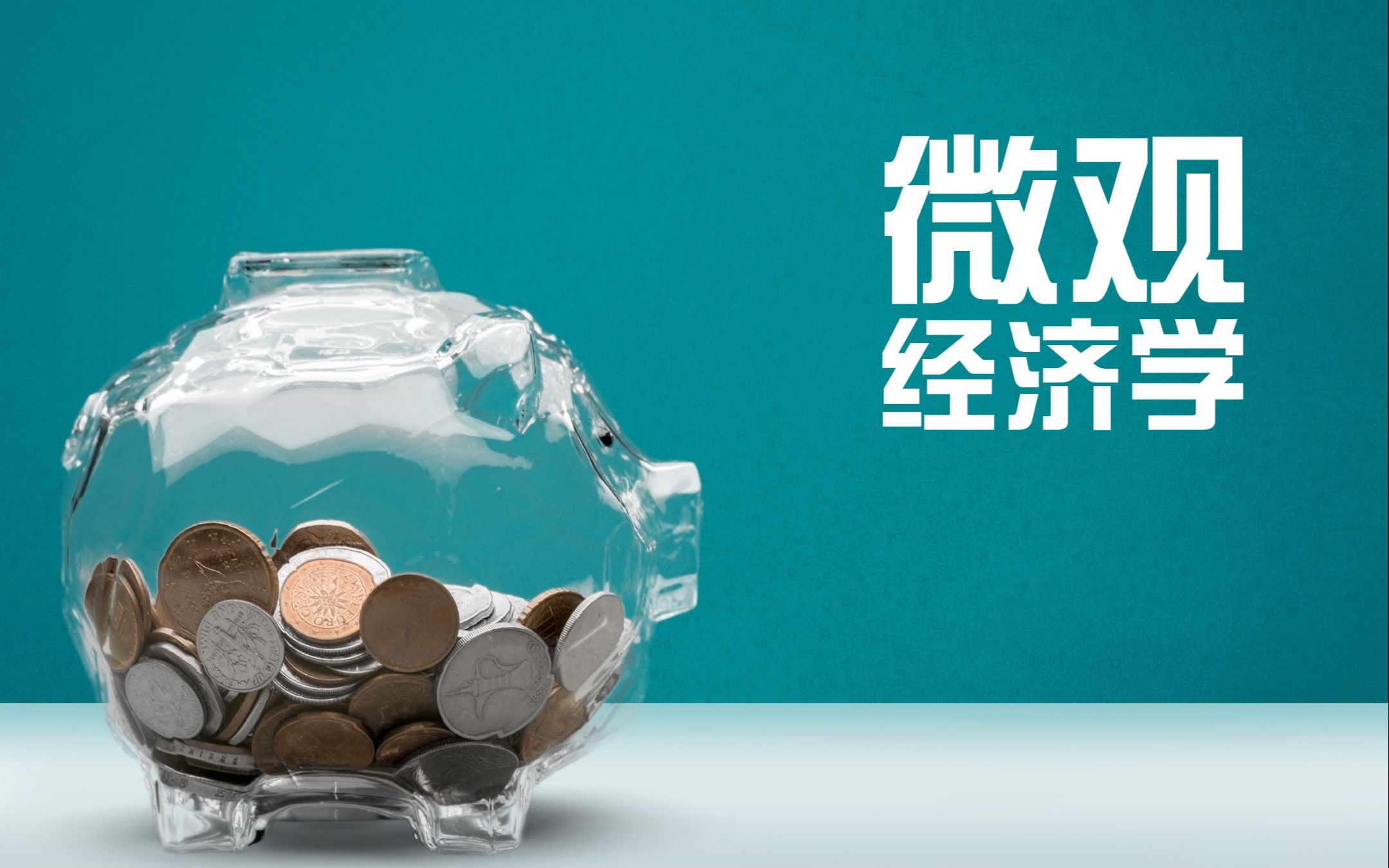 浙江大学-微观经济学基础(微观三件套-1)国家级精品课