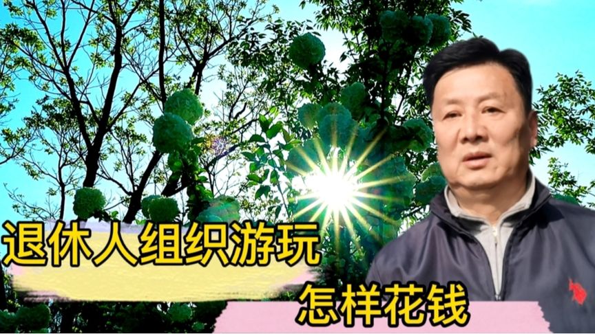 老年朋友们一起外出游玩,费用怎么分摊?看看我们的计算方法。