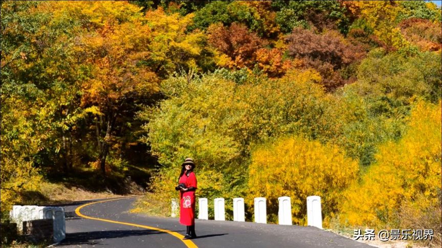 河北塞罕坝被誉为“水的源头、云的故乡、花的世界、林的海洋”