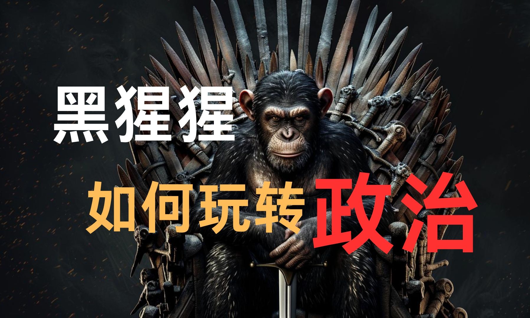 不逊于人类的权谋,探秘黑猩猩的权力游戏
