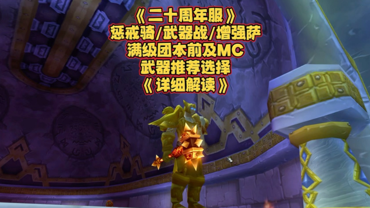 二十周年纪念服惩戒*清算骑/武器战/增强萨满级后团本前及MC双手...