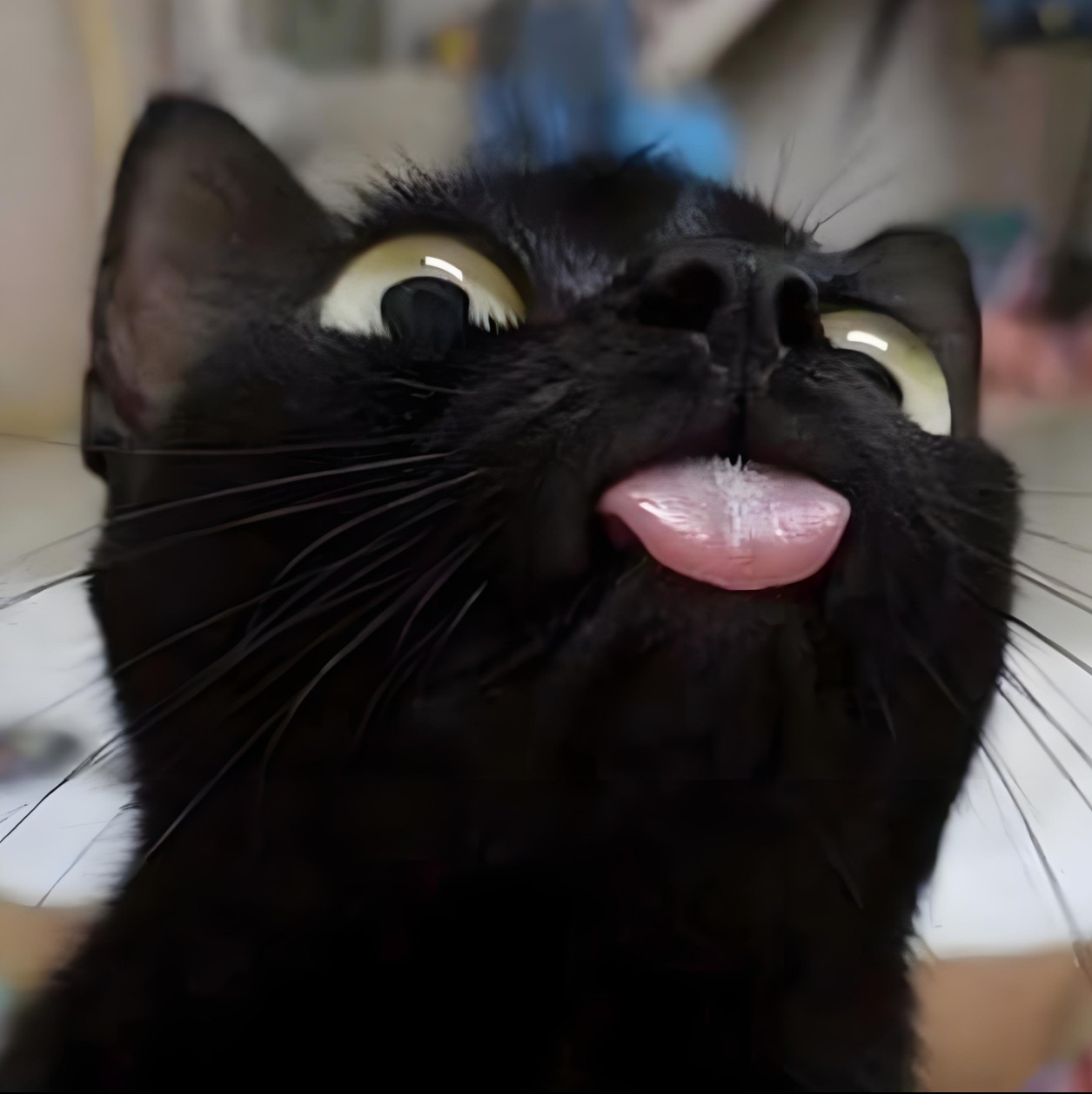 单眼皮小P 