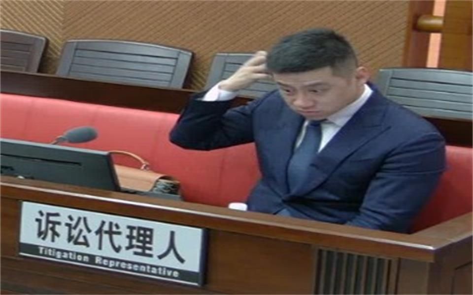 虎诉刘煜暄律师庭审风采(一)