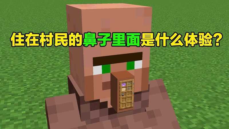 我的世界:MC最小的房子,住在村民鼻子里面是什么体验